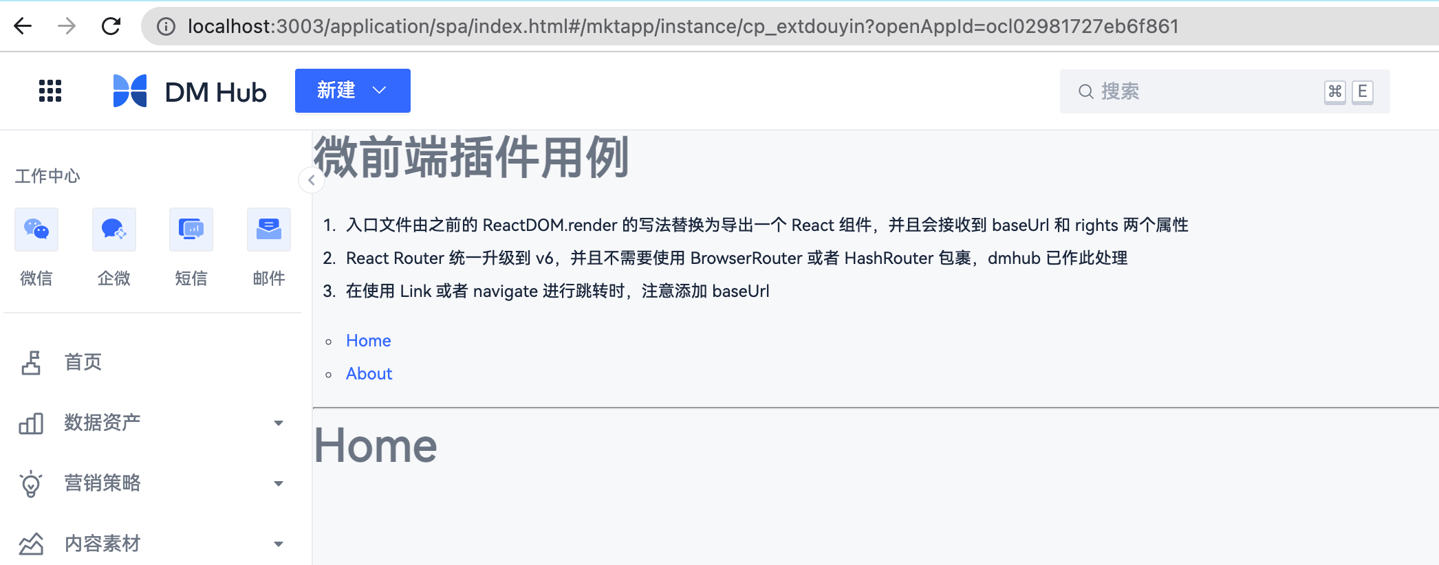 微前端应用功能开发指引 | DM Hub API 文档
